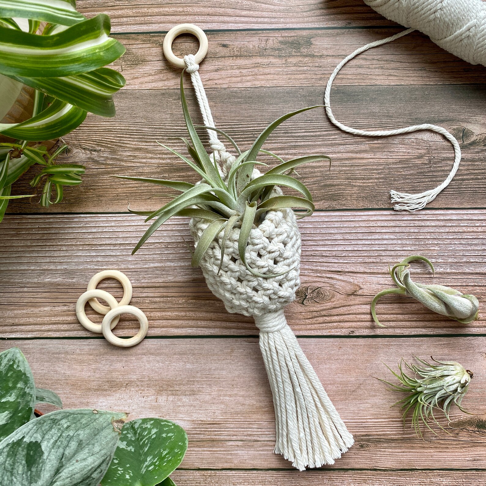 Macrame Pod/air Plant Wall Hanger - Macrame Pod Plant Hanging, Decor ...