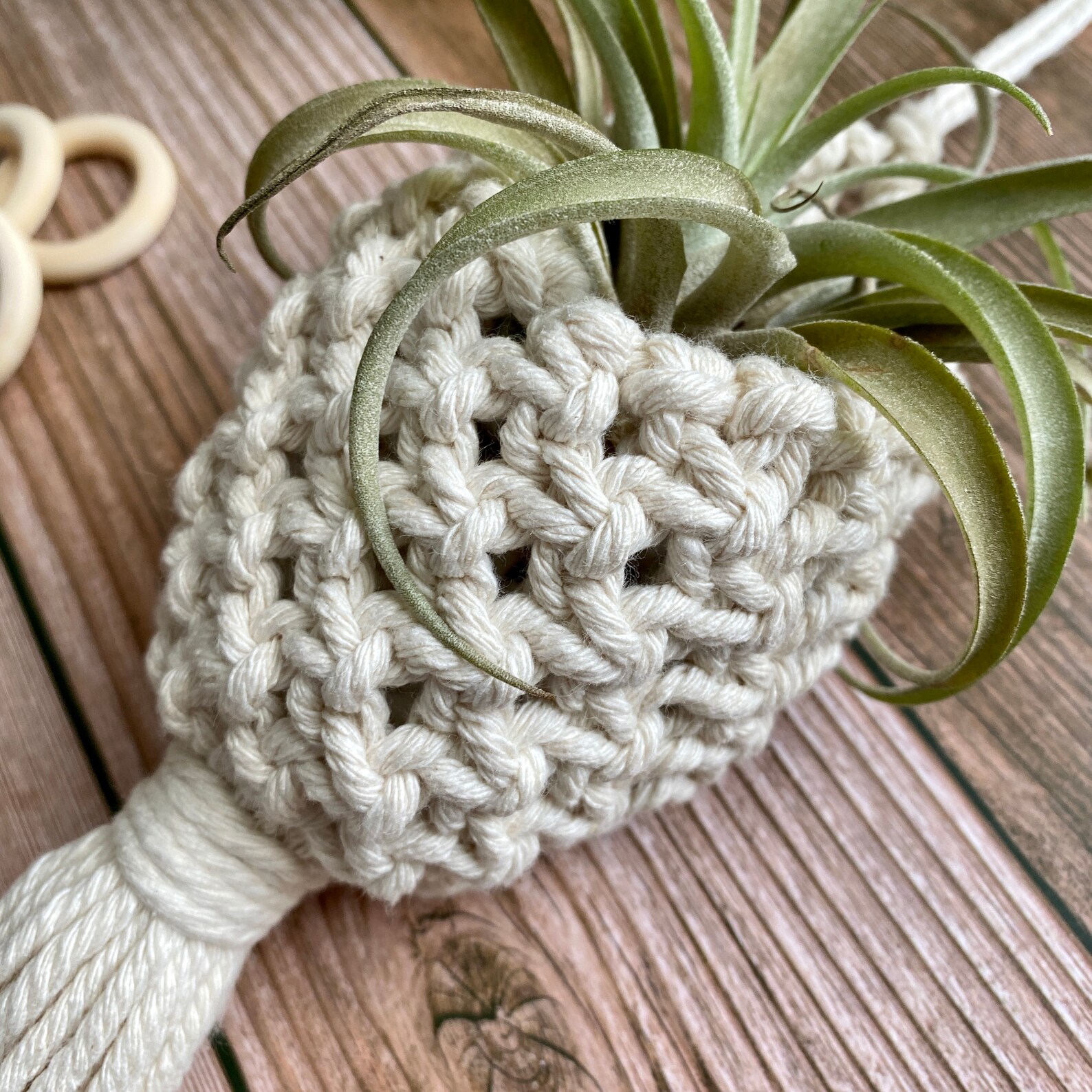 Macrame Pod/air Plant Wall Hanger - Macrame Pod Plant Hanging, Decor ...