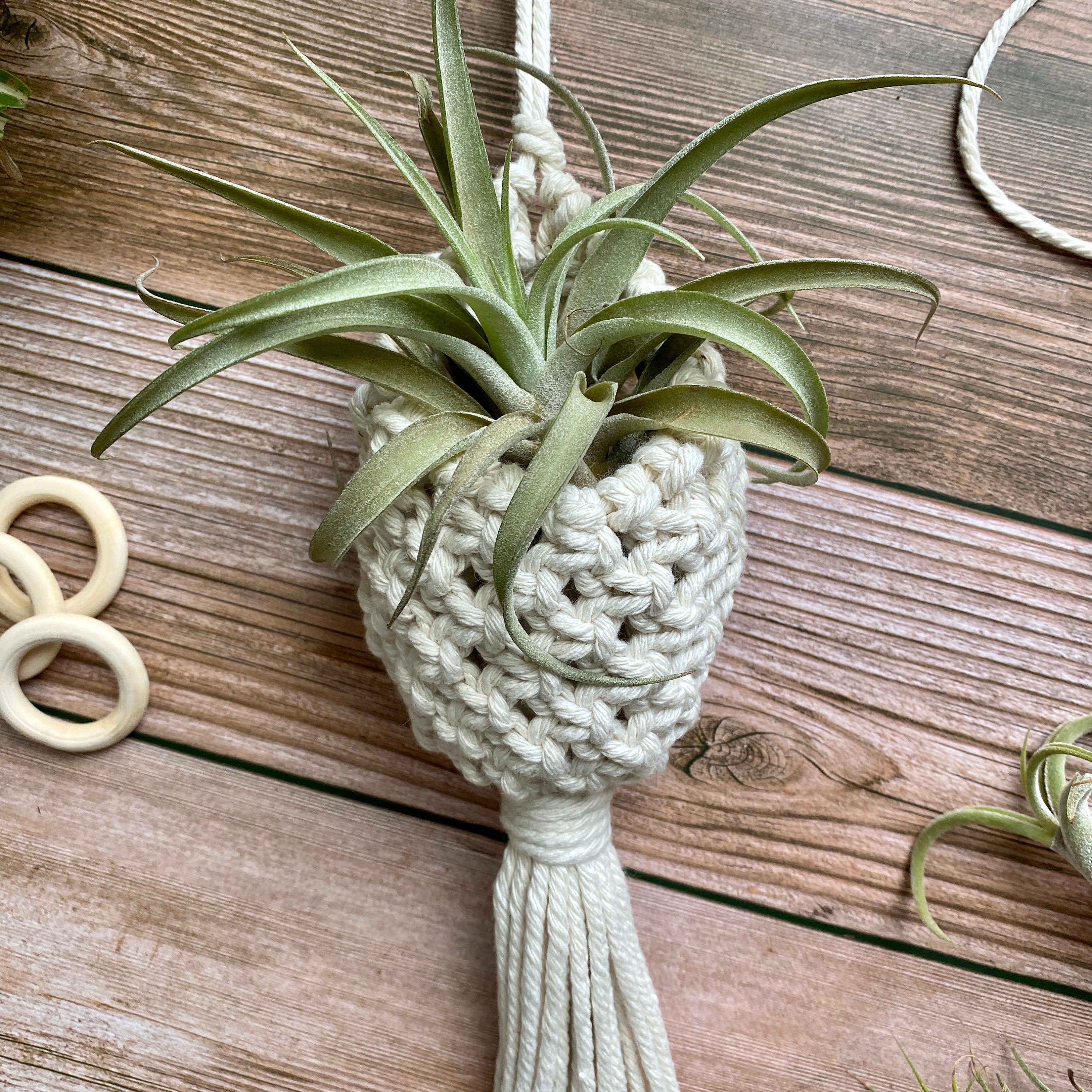 Macrame Pod/air Plant Wall Hanger Macrame Pod Plant Hanging - Etsy