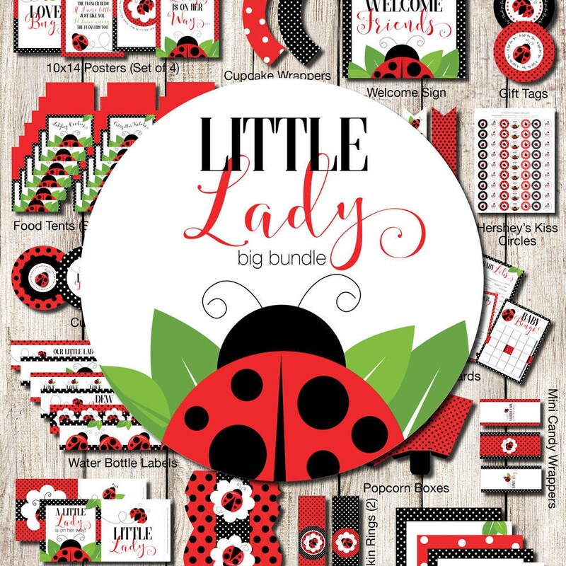 Ladybug Decorations - Etsy