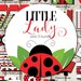 Ladybug Party Package Decoration Kit Spring Baby Shower Decor Little ...