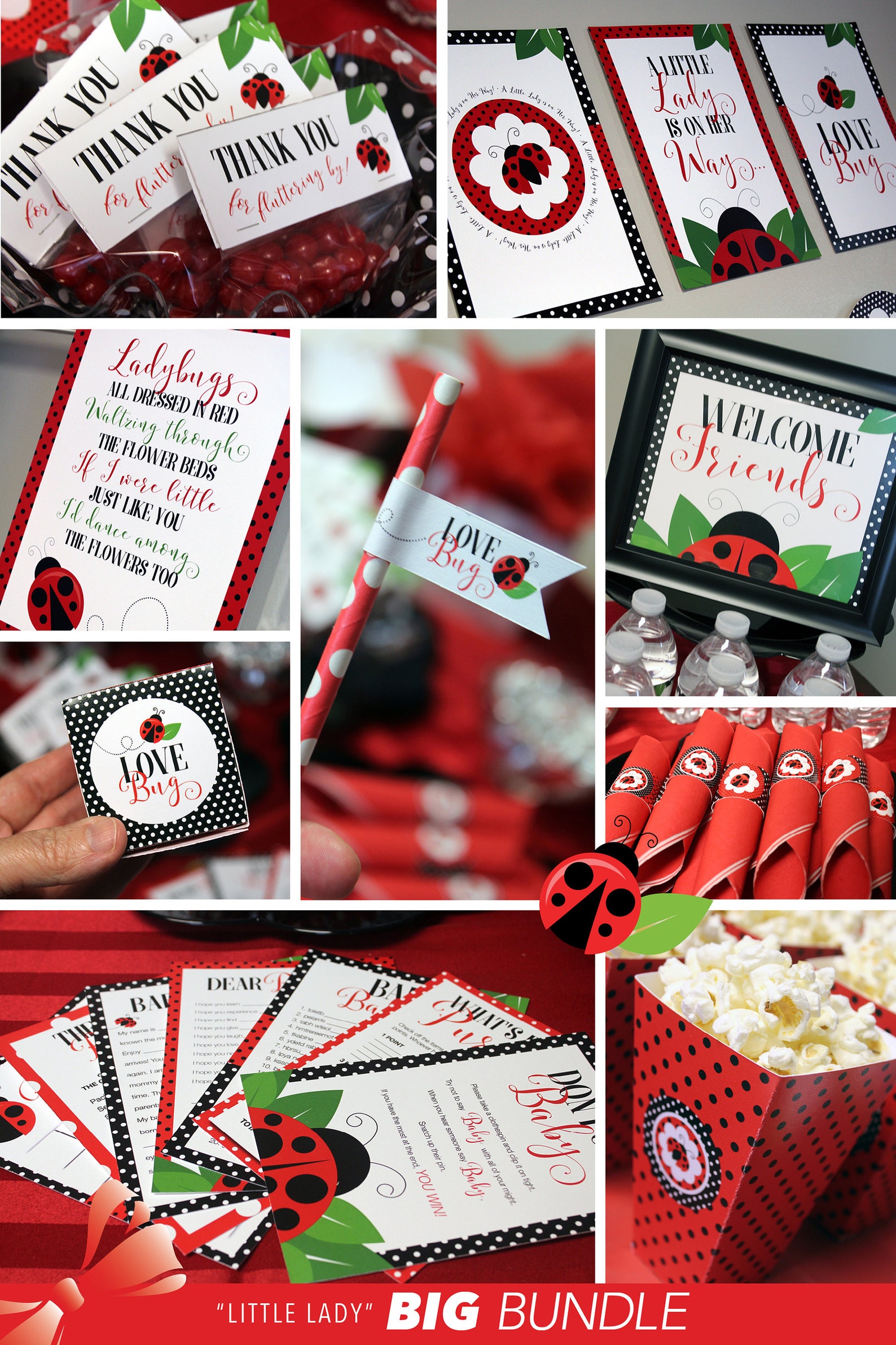 Ladybug Party Pack Kit Ladybug Printable Party Shower - Etsy