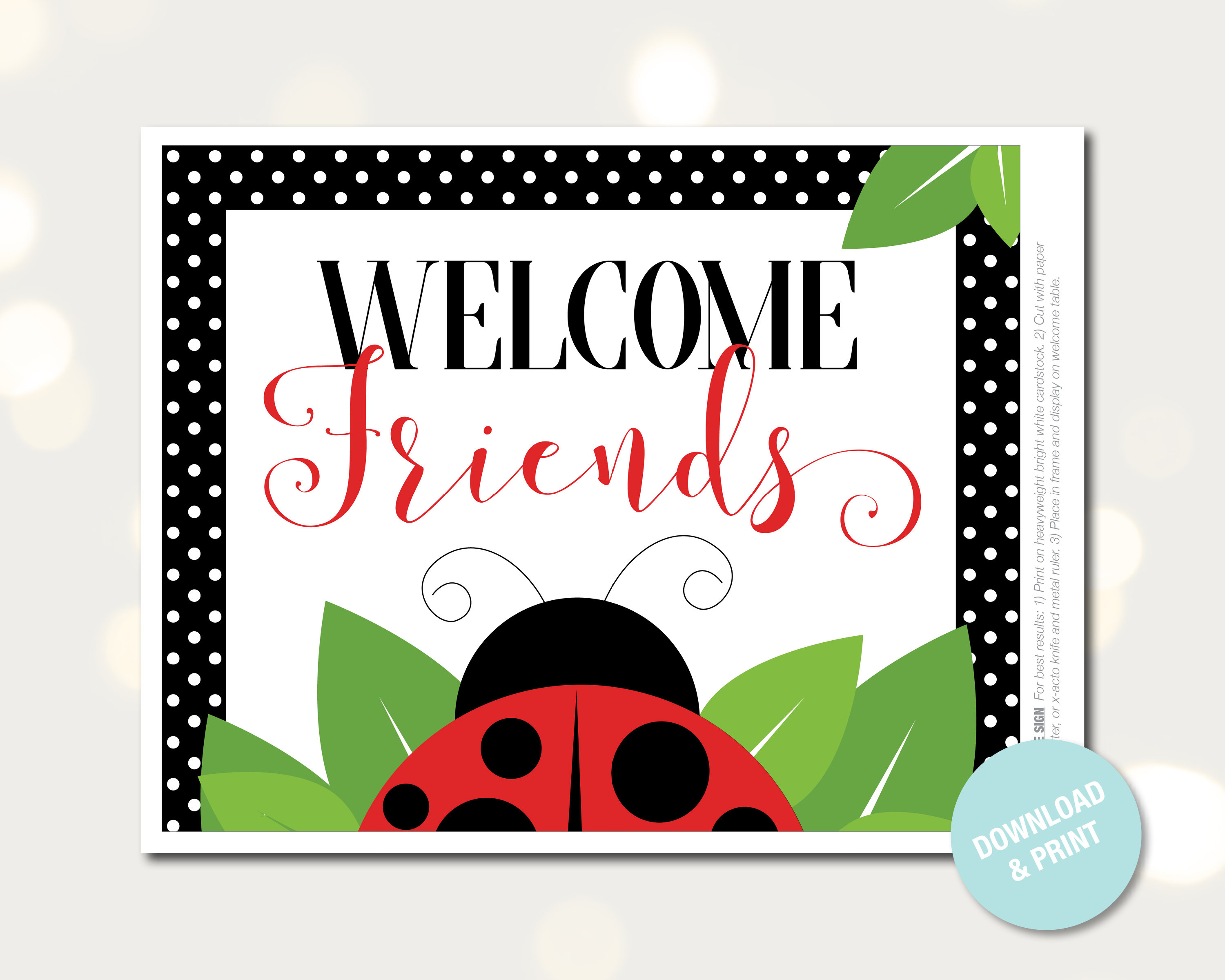 Ladybug Baby Shower Decorations Welcome Sign Ladybug - Etsy