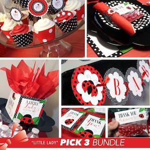 Ladybug Party Package Decoration Kit Spring Baby Shower Decor Little ...