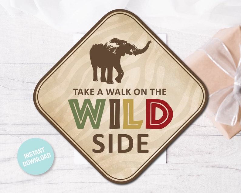 Jungle Safari Party Signs: Zoo Animals Birthday Decor (instant Download ...