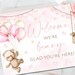 Teddy Bear Baby Shower Yard Sign, Pink Teddy Bear Party Decorations ...