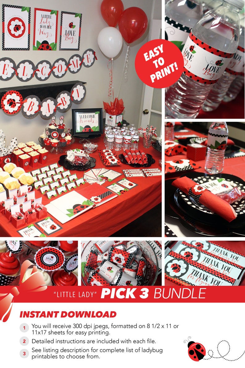 Ladybug Party Package Decoration Kit Spring Baby Shower Decor - Etsy