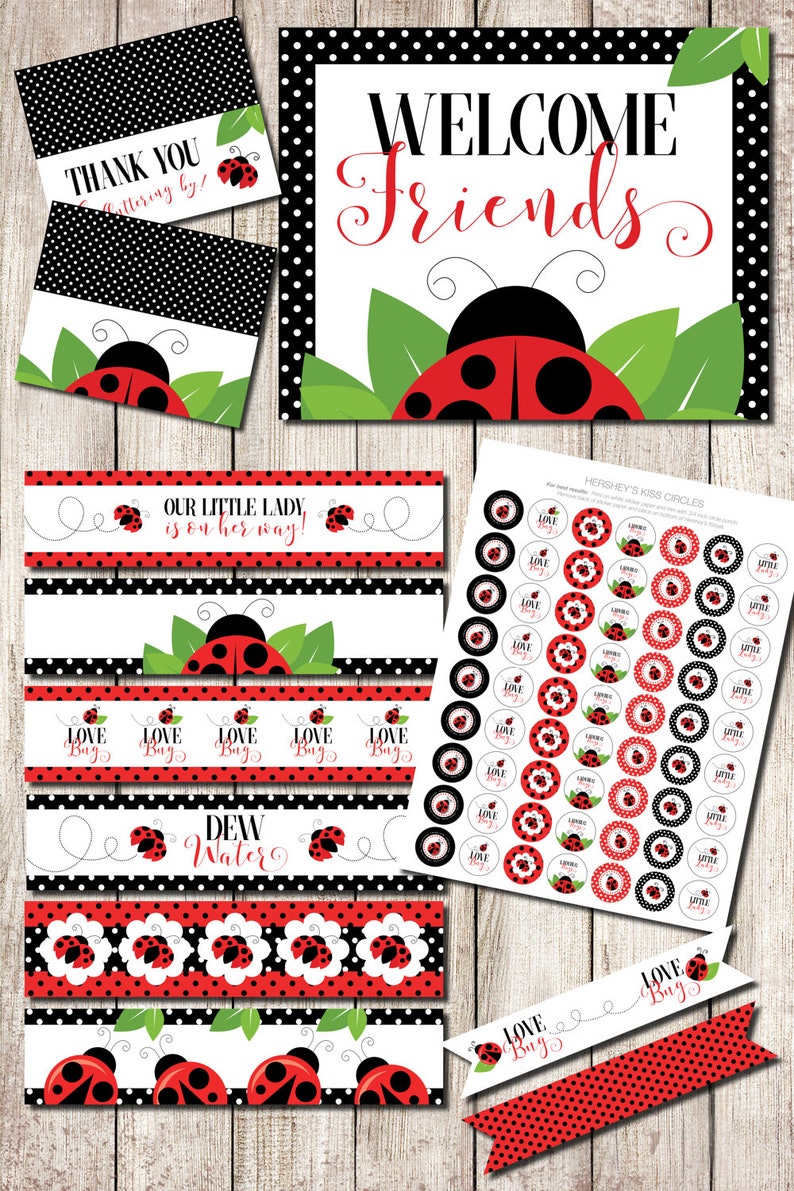 Ladybug Party Pack Kit Ladybug Printables Printable Party - Etsy