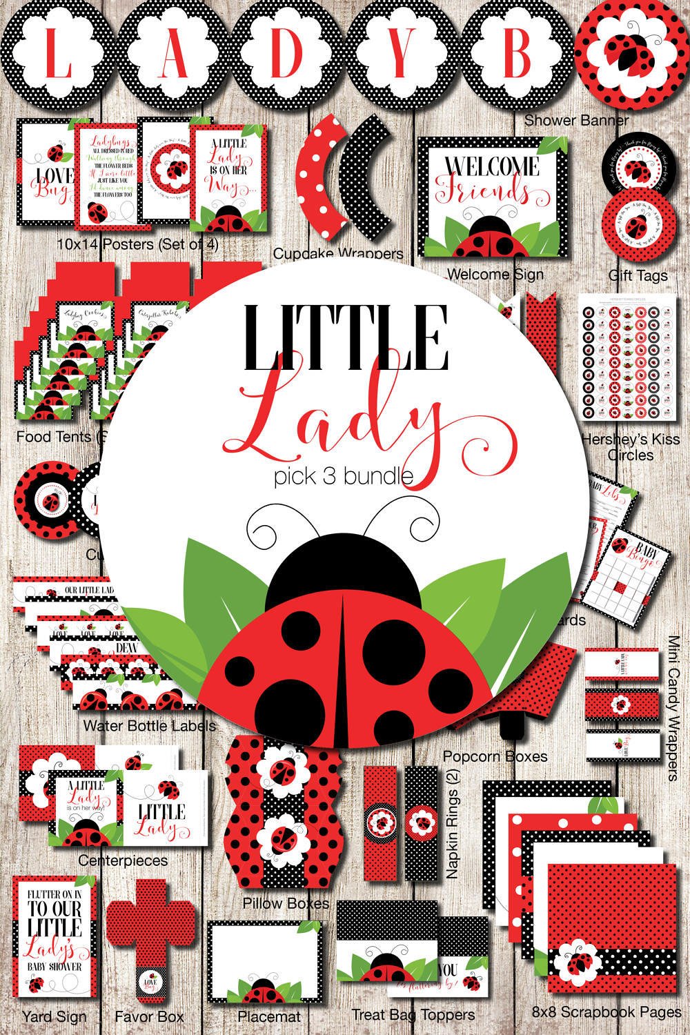 Ladybug Party Package Decoration Kit Spring Baby Shower Decor - Etsy