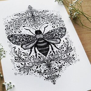 Queen Bee | Drawing, Fantasy Art, Bee Art, Night, Nature, Pattern ...