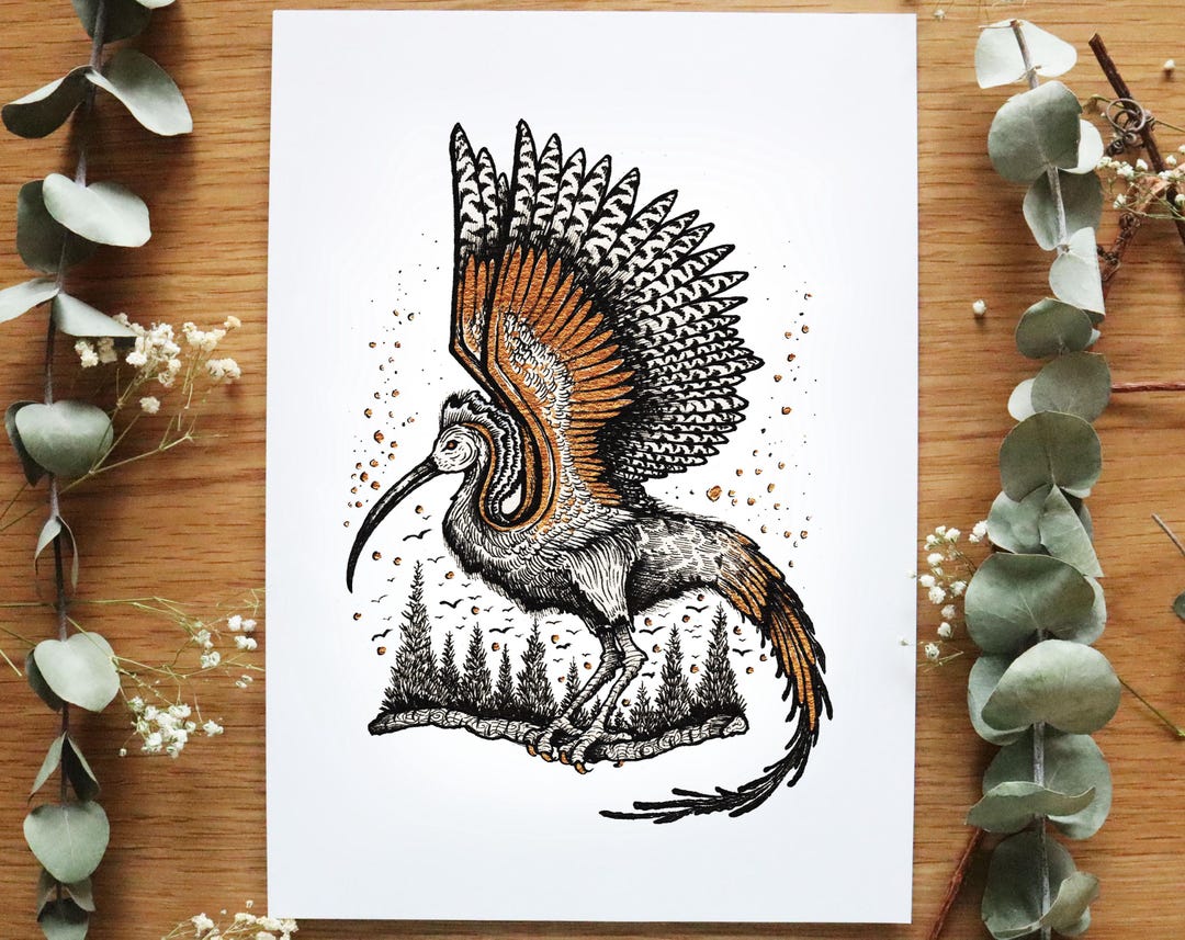 Enchanted Bird Familiar - Limited Edition Print | Pen and Ink Drawing ...