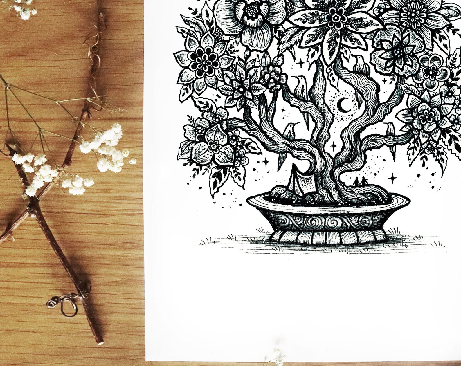 Bonsai Flower Plant Tree - Limited Edition Print | Pen and Ink Drawing ...