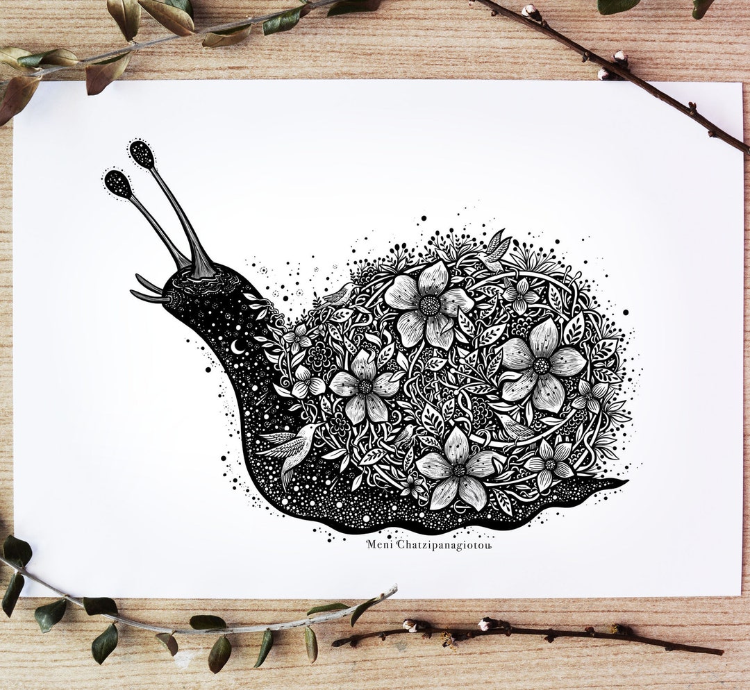 Snail || Pen Drawing, Moon, Night, Nature,botanical, Space, Stars | A4 ...