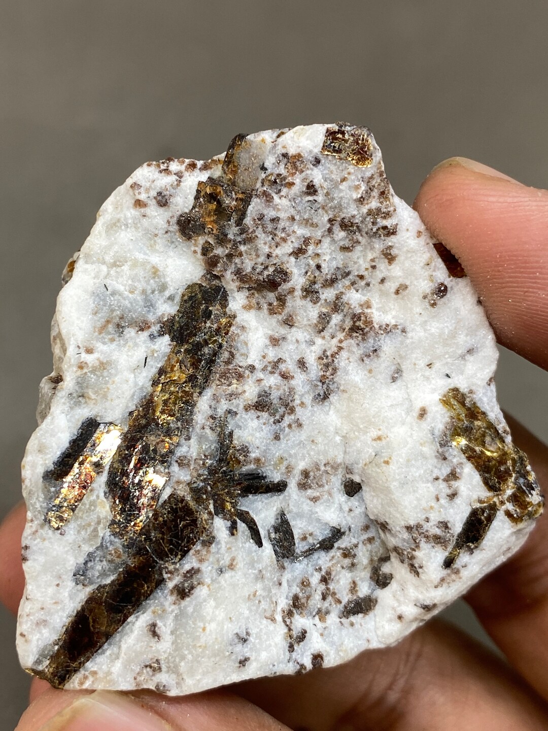 Rare Astrophyllite Star Raw Shimmering Huge Size Druzy Golden Fire ...