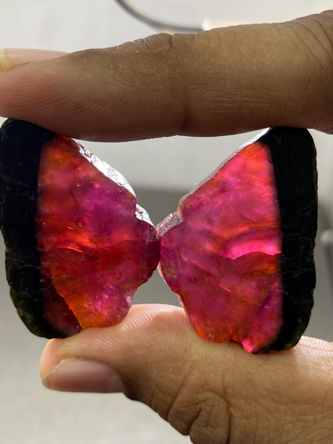 Extremely Rare Bicolor Pink Watermelon Tourmaline Rough Butterfly Wings ...