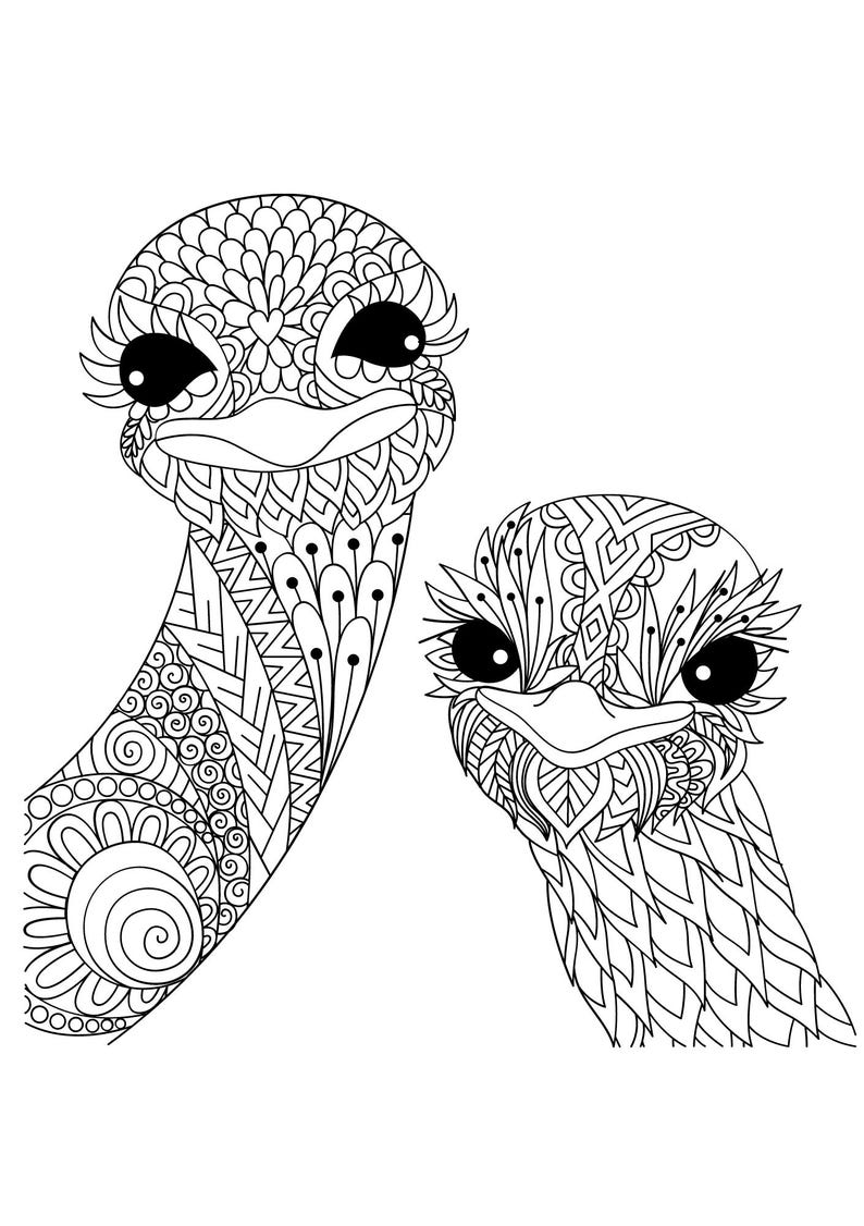 Mindful Animal Coloring Book. A Beautiful Collection With 20 Pages of ...