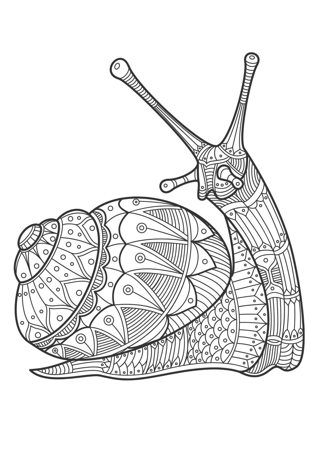 Mindful Animal Coloring Book. A Beautiful Collection With 20 Pages of ...