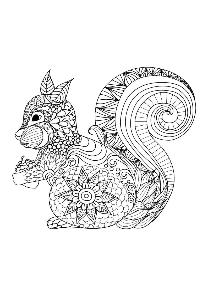 Mindful Animal Coloring Book. A Beautiful Collection With 20 Pages of ...