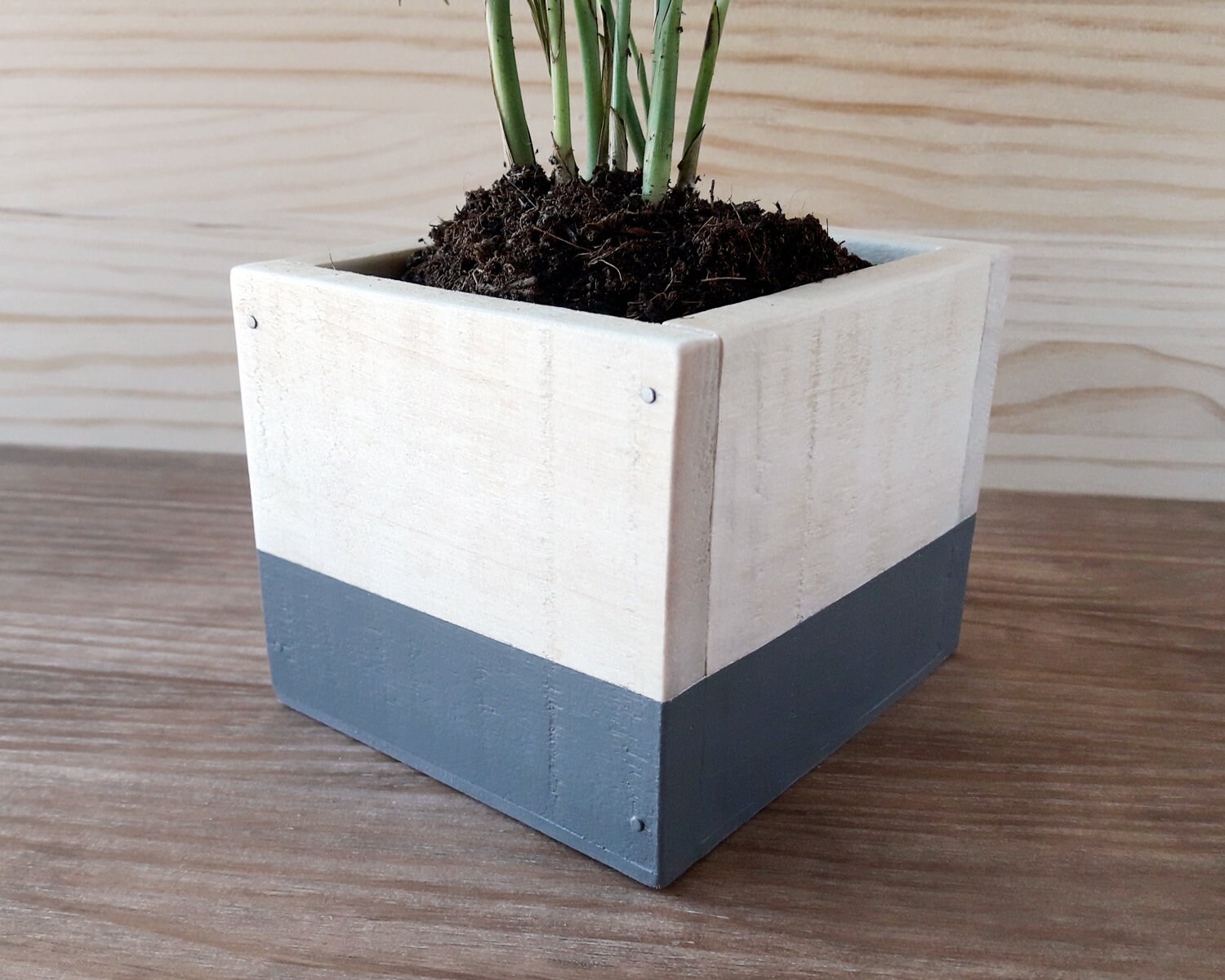 Maceta de madera de estilo nórdico Organizador de escritorio | Etsy