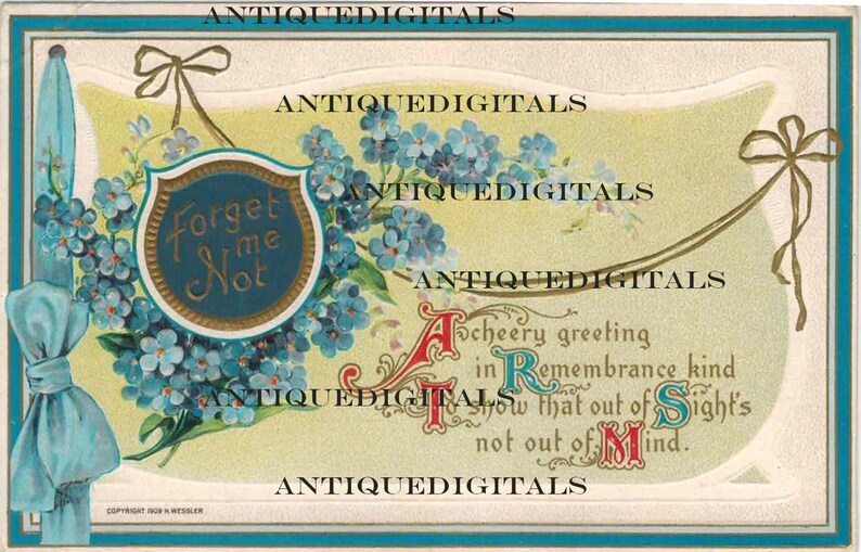 Antique Vintage Forget Me Not Postcard Images Digital Download for ...