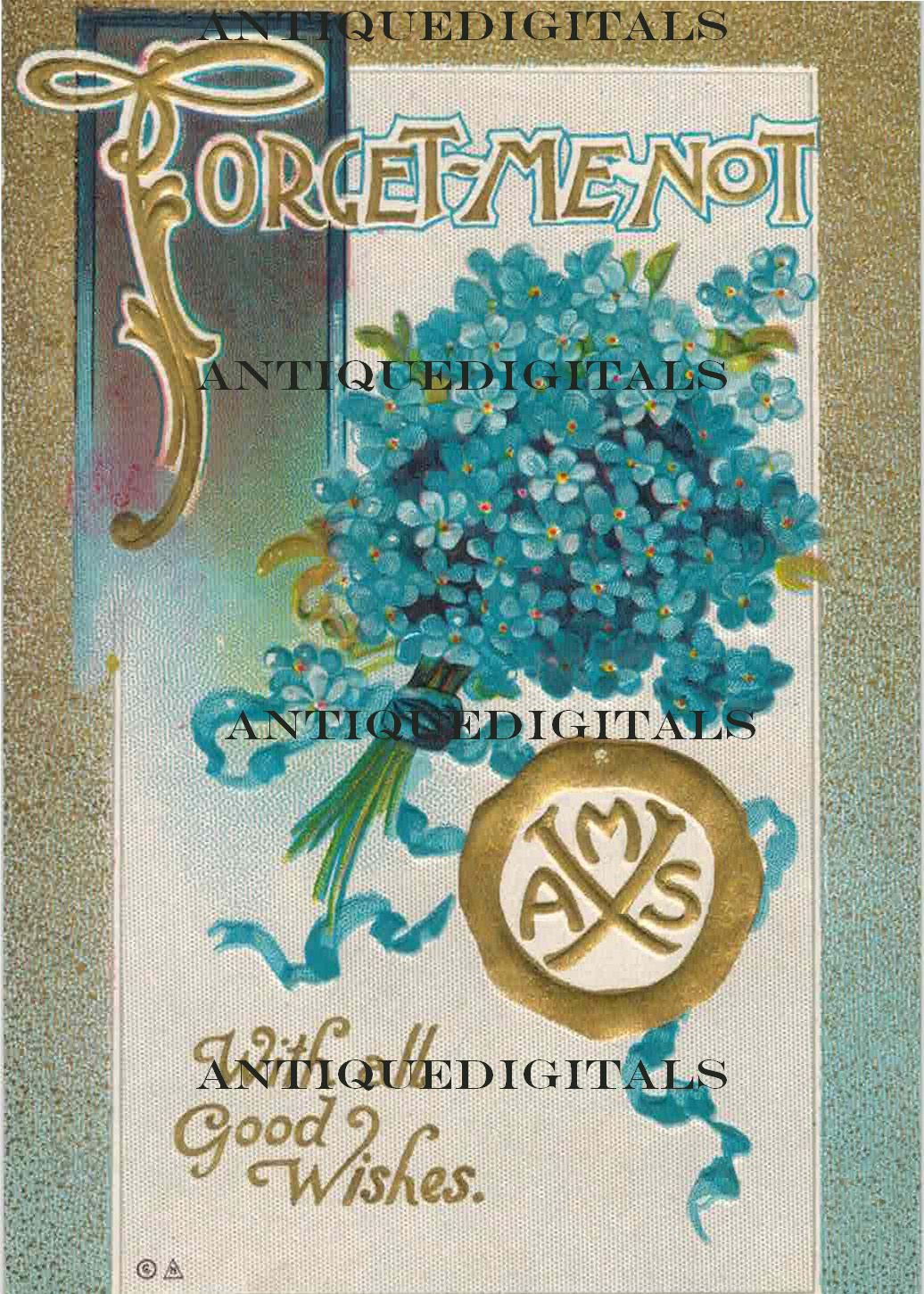 Antique Vintage Forget Me Not Postcard Images Digital Download for ...