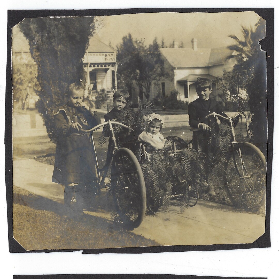 Festooned. Undated Antique Photo of a Children With Bicycles and a ...