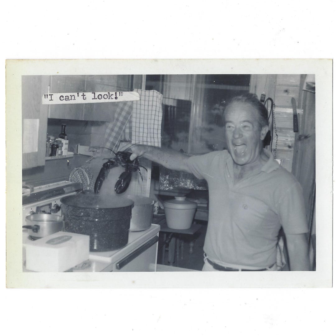 Scared Lobster Man. Captioned 1970s Photo Man Putting Lobster Into Pot ...