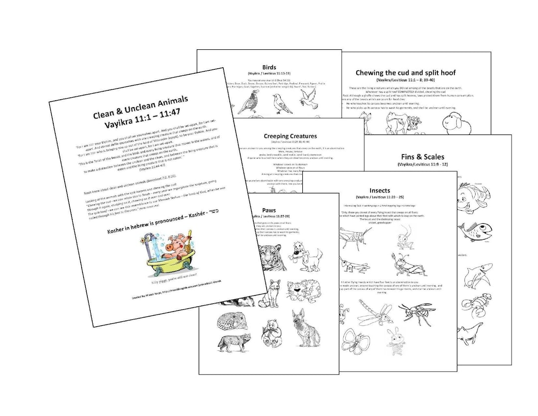 Clean & Unclean Animals (vayikra / Leviticus) - Etsy