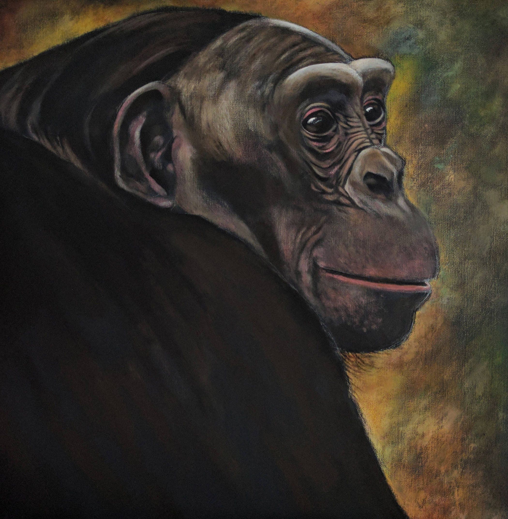 Bonobo 8.5 X 11 Print From Original Acrylic Painting - Etsy