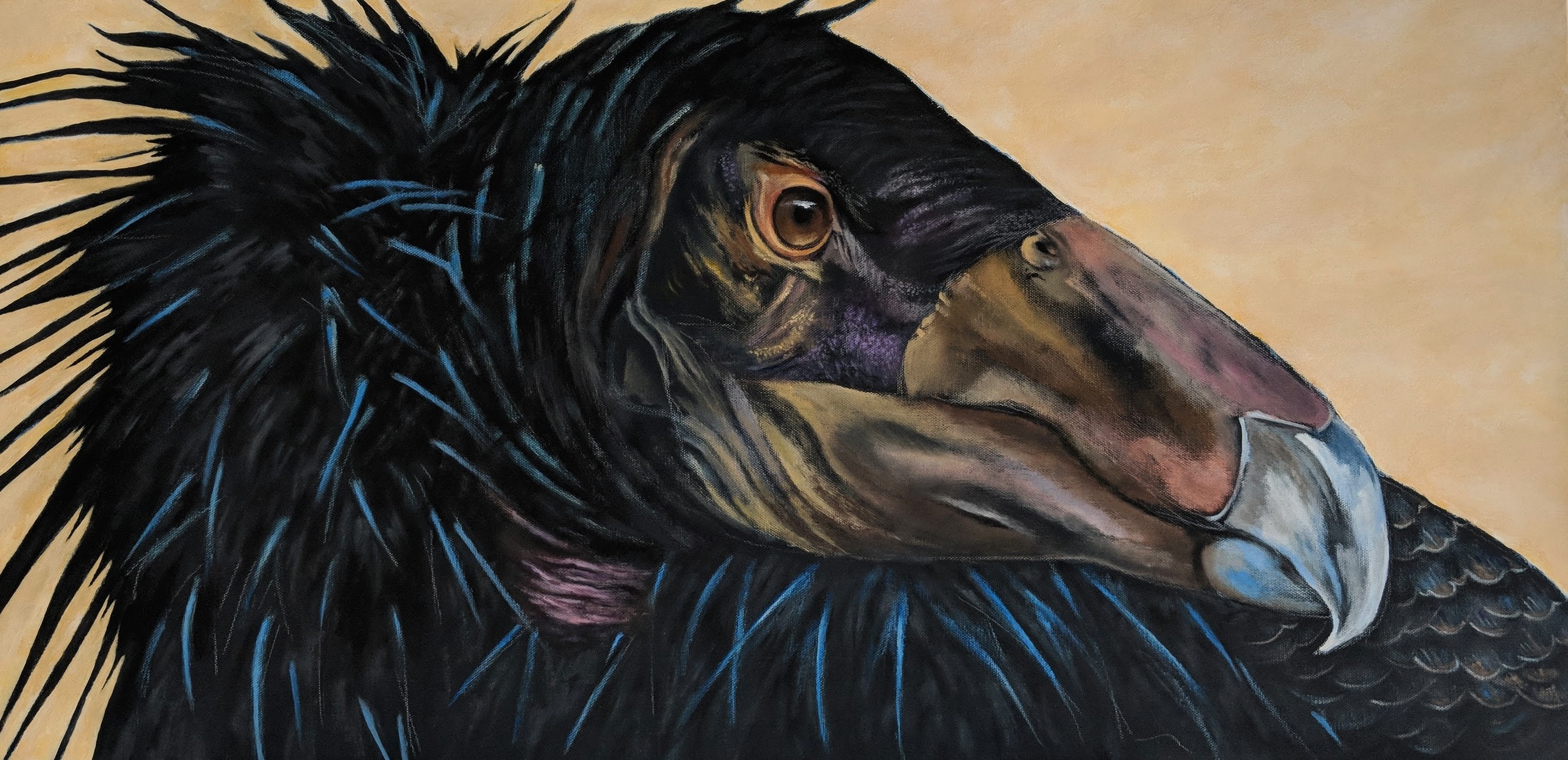 California Condor Painting - 8.5 X 11" Print From Original Acrylic ...