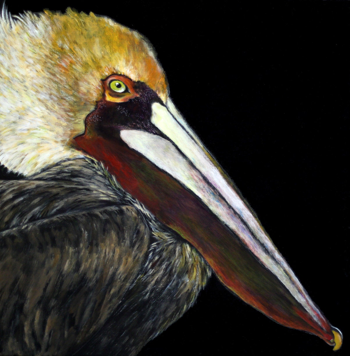 Brown Pelican Painting - 8.5 X 11" Print From Original Acrylic Painting ...