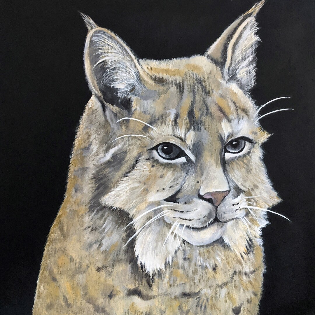 Bobcat - 8.5 X 11" Print From Original Acrylic Painting - Etsy