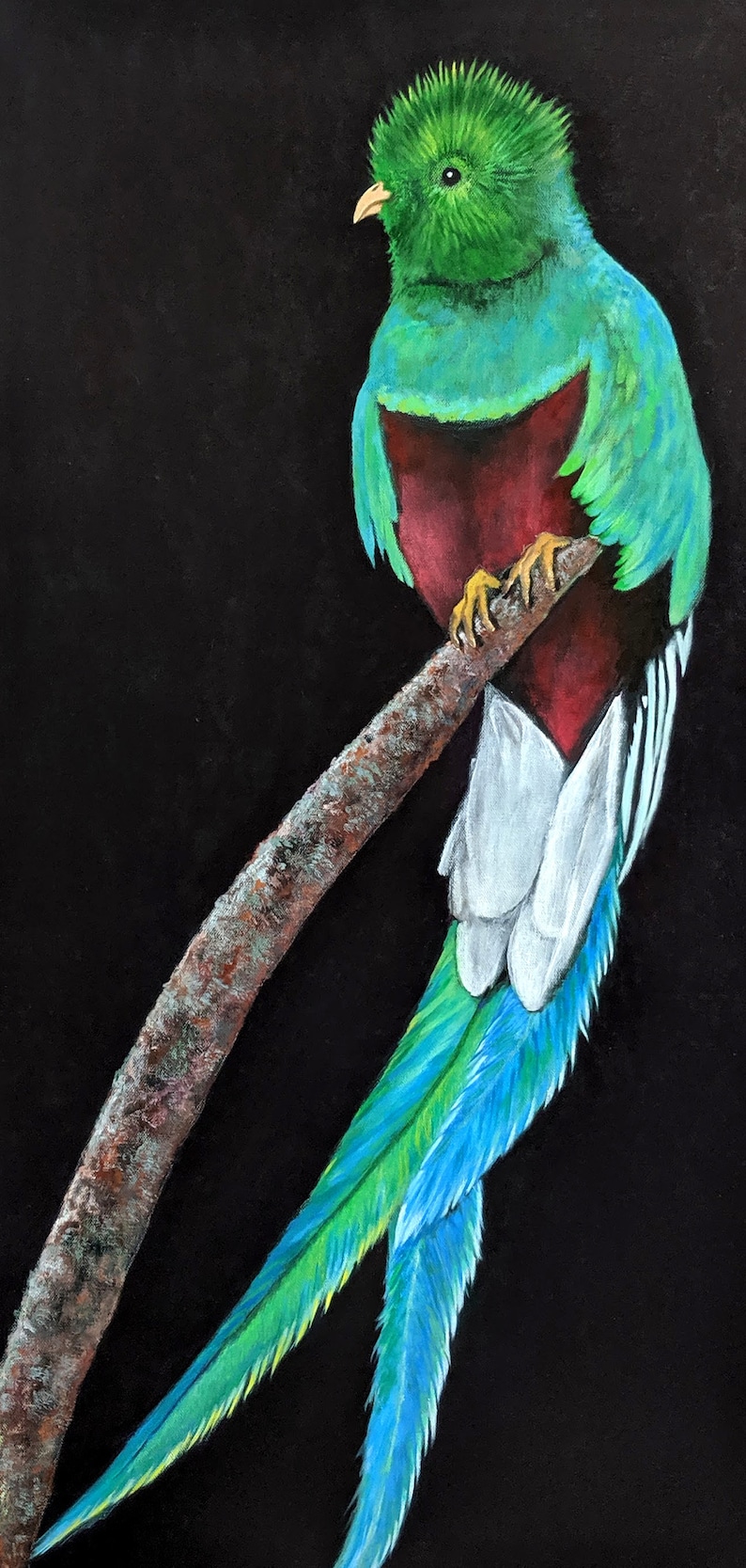 Quetzal Painting - 8.5 X 11" Print From Original Acrylic Painting - Etsy