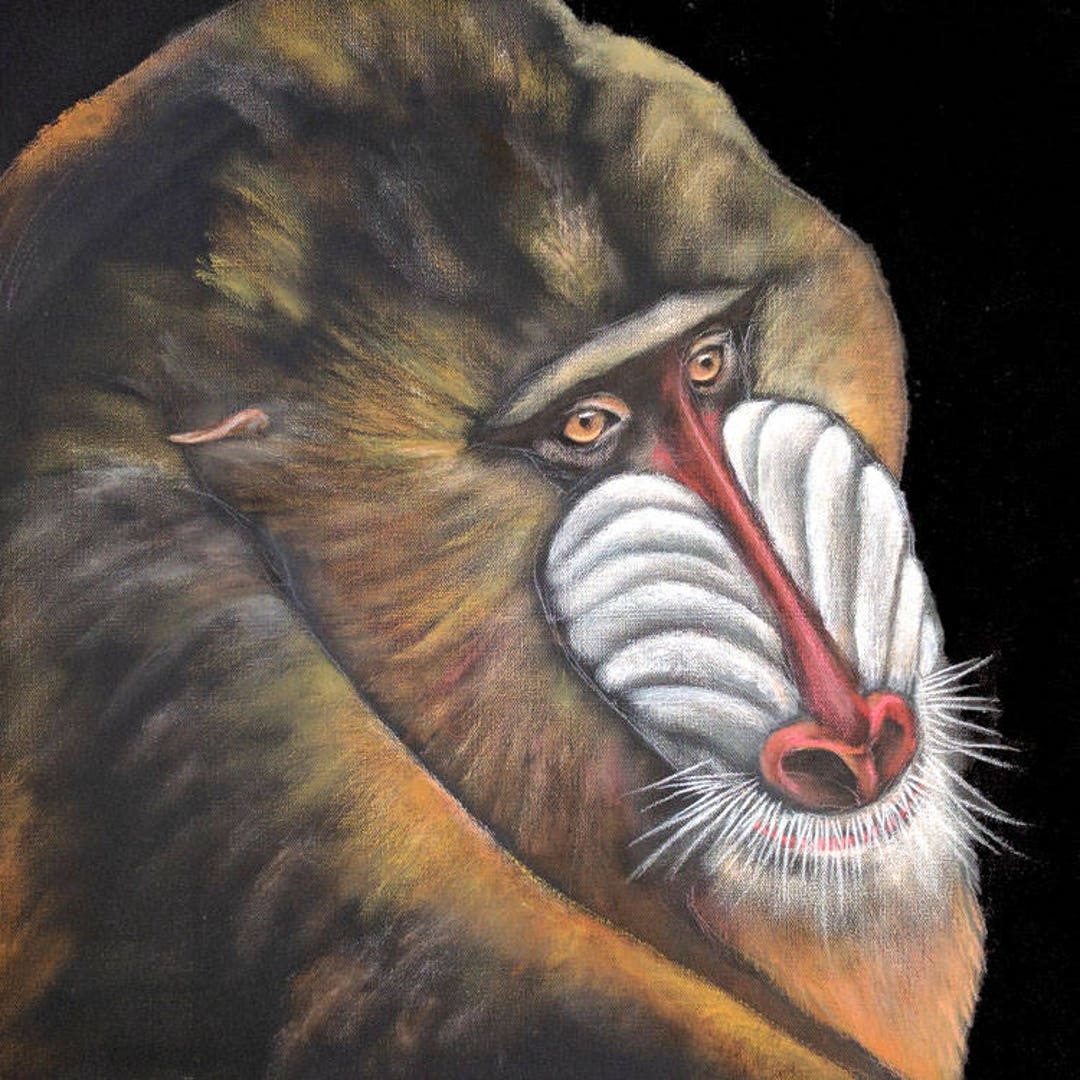Mandrill - 8.5 X 11" Print From Original Acrylic Painting - Etsy