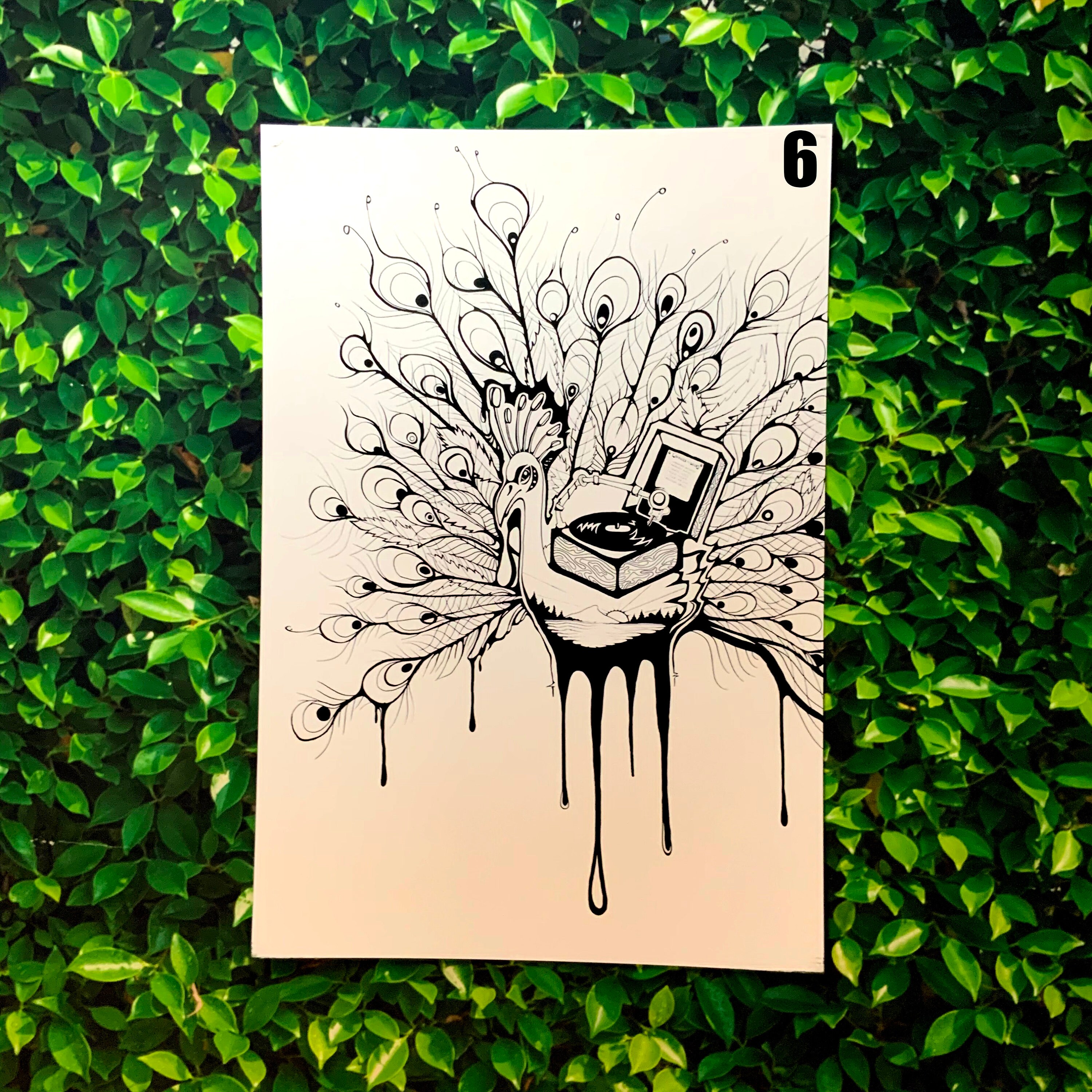 Animal Wall Art Made Live With Twiddle Black and White Photo | Etsy