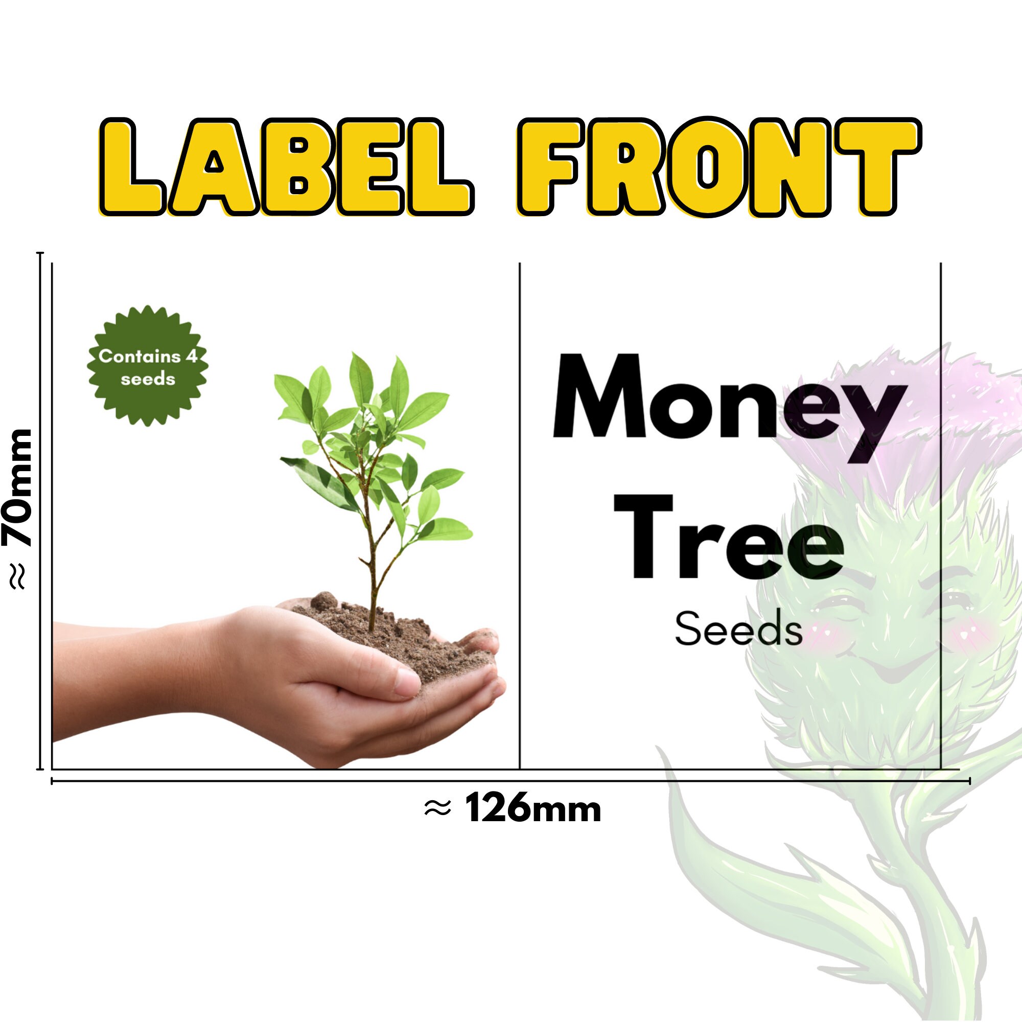 Money Tree Plant Seeds