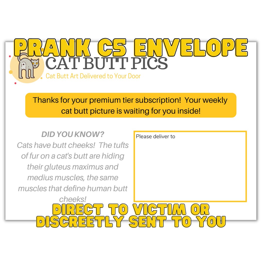 Funny Envelope - Cat Butt Pics - Prank Mail Sent Direct to Victim, or ...