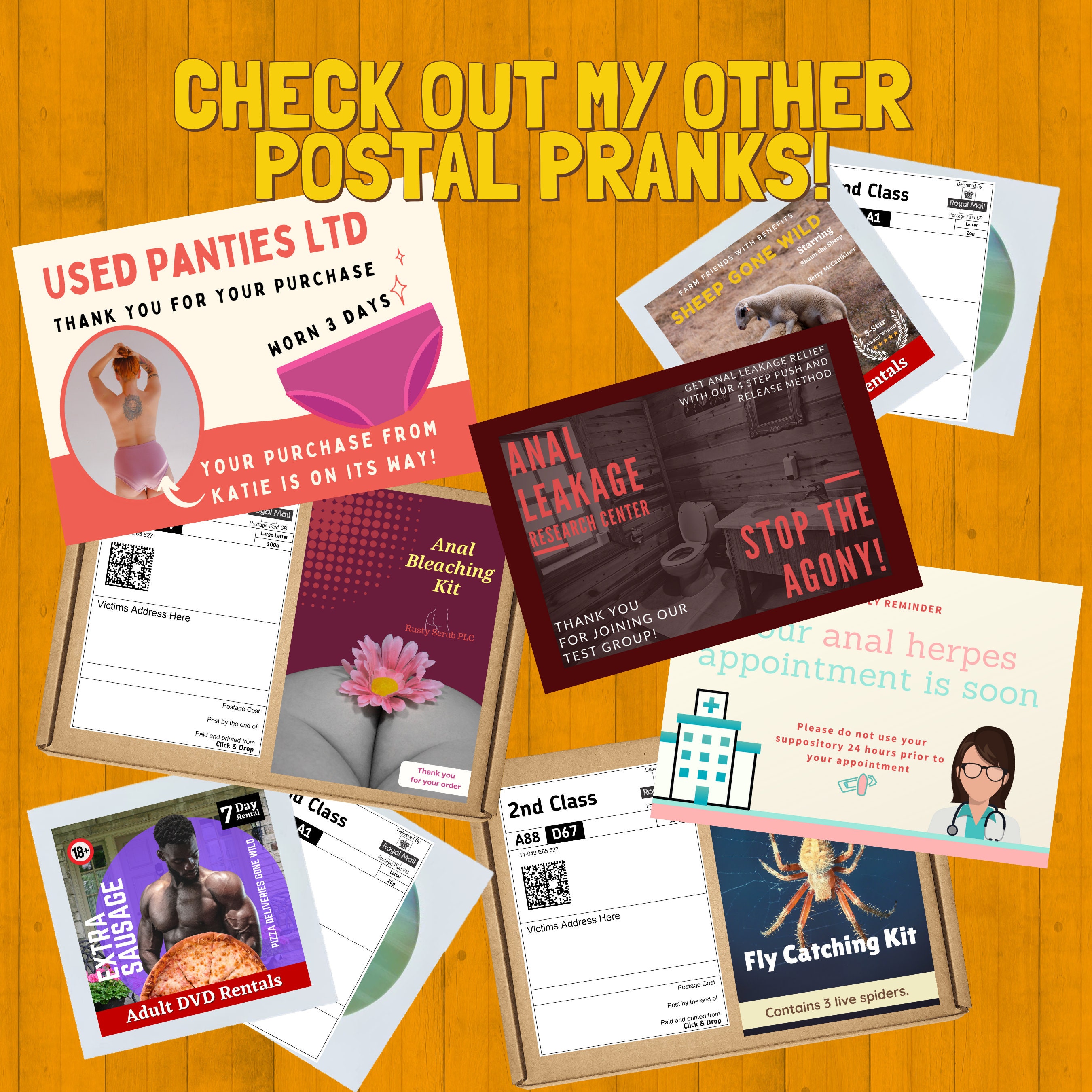 Mail Prank Piss Flaps Hidden Toilet Cams Snail Mail - Etsy