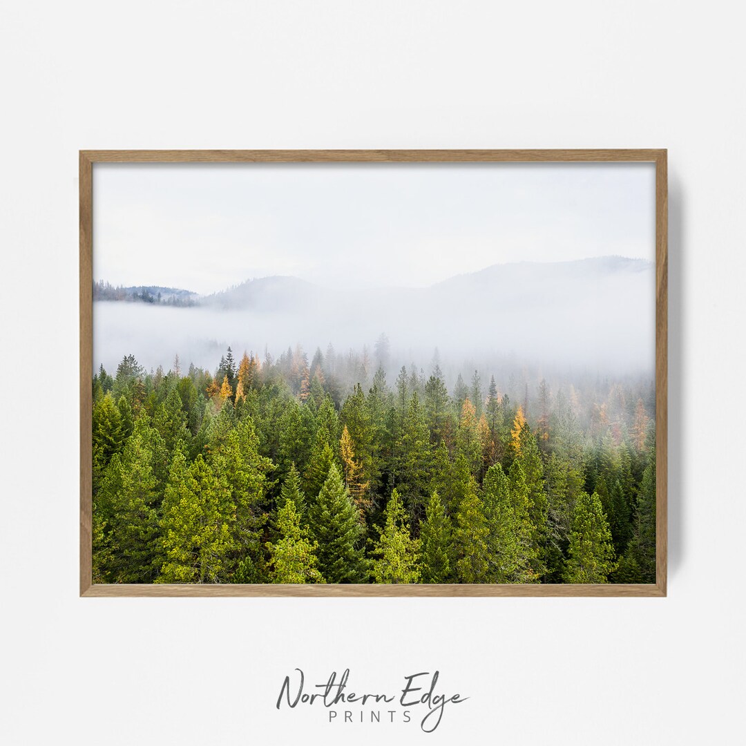 Forest Print Fog Forest Art Printable Fog Wood Green - Etsy
