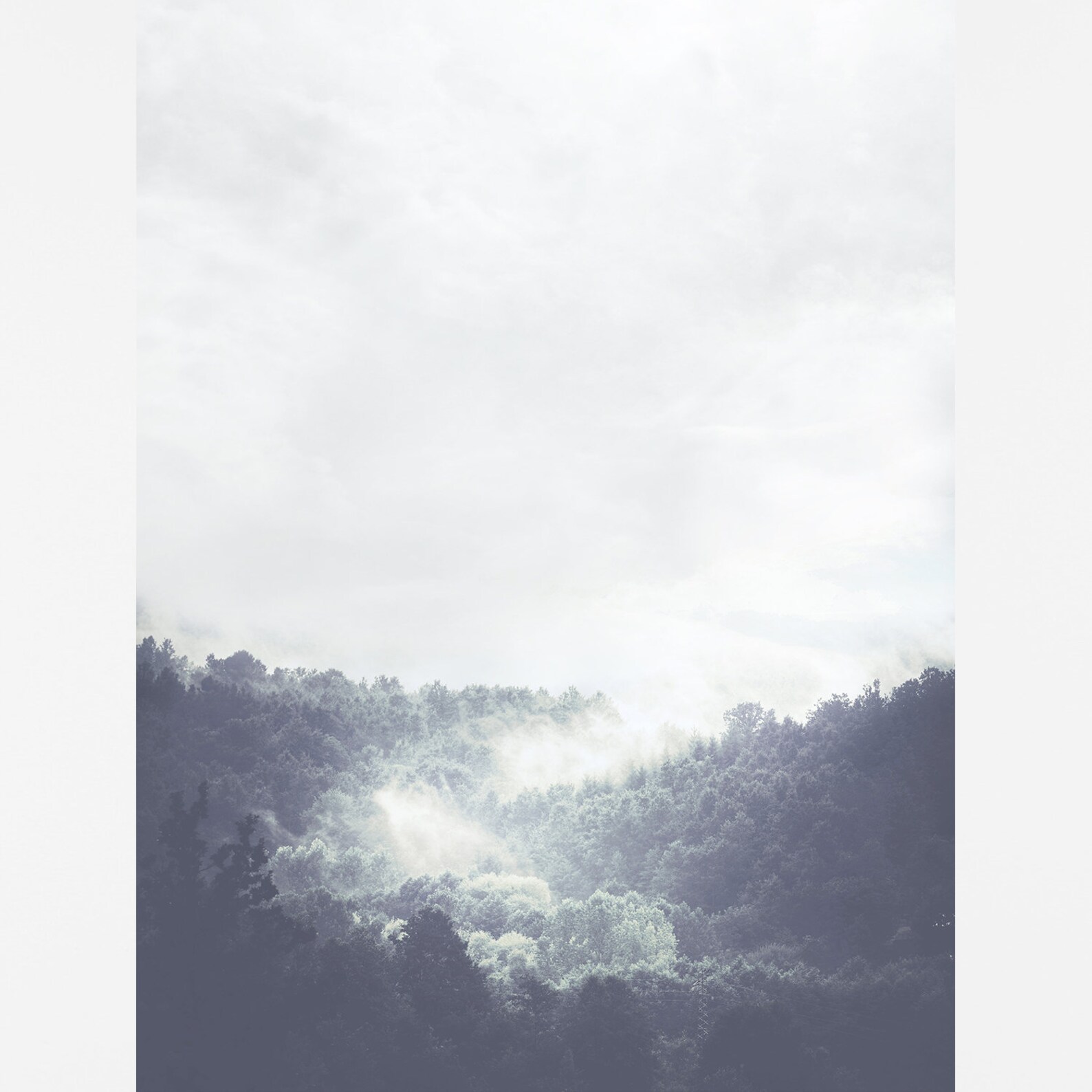 Forest Photo Printable Nature Art Nature Wall Art Photo | Etsy