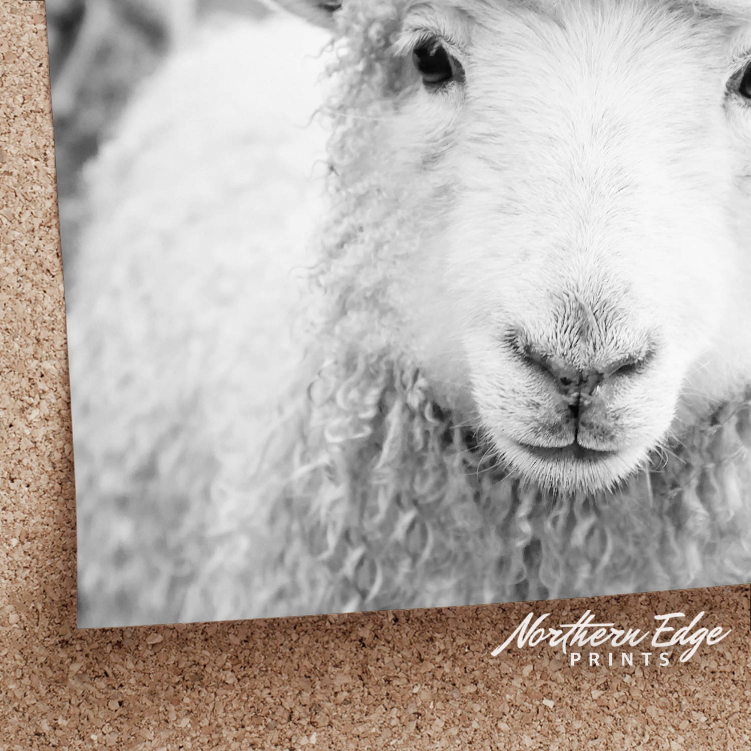 Sheep Print Farm Decor Sheep Wall Photo Printable Farm Art - Etsy