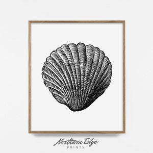 Sea Shell, Printable Print, Tropical, Beach, Summer, Posters, Wall Art ...