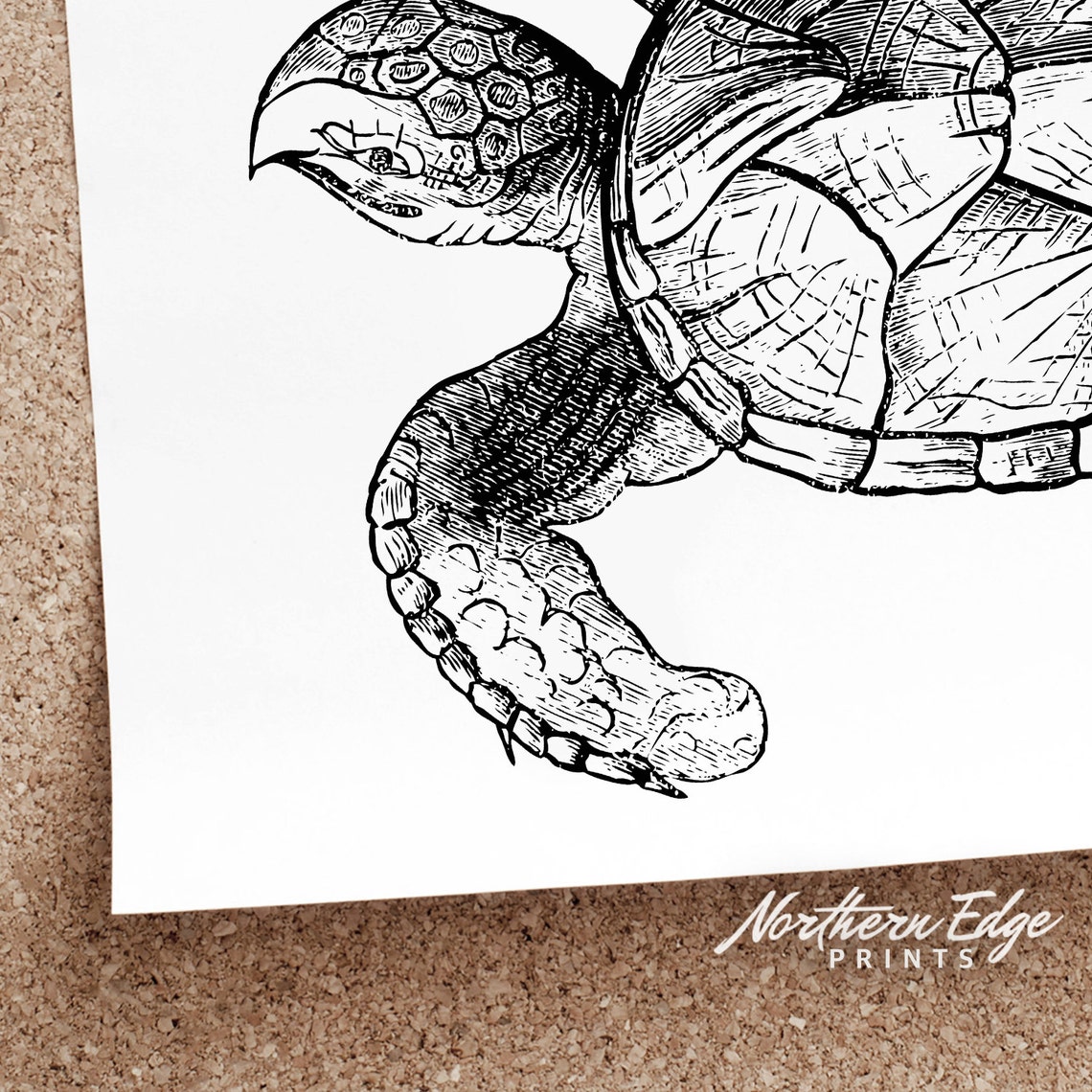 Sea Turtle Printable Illustration Print Poster Summer - Etsy