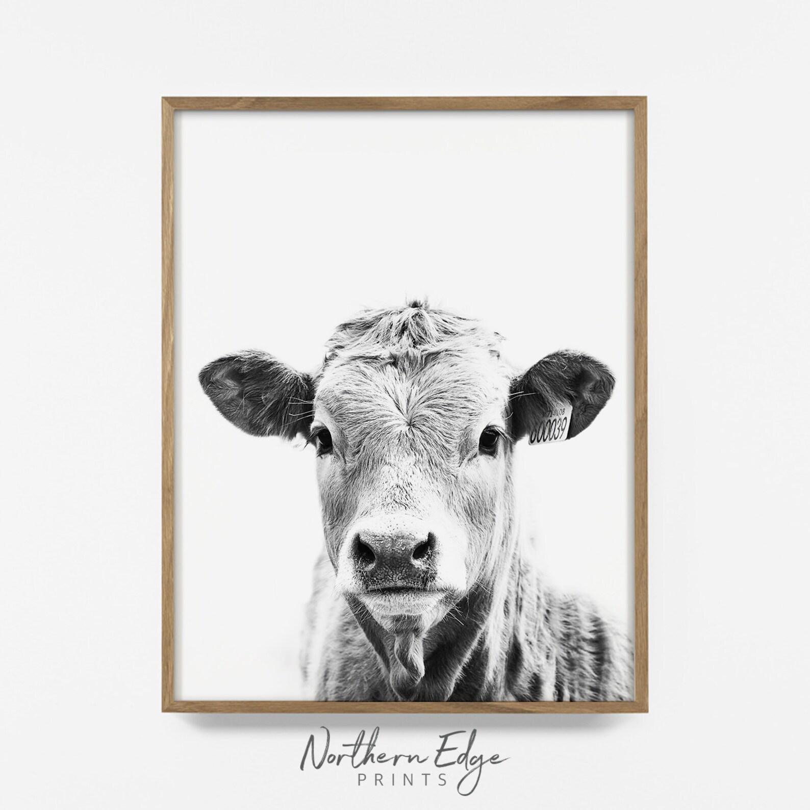 Country Cow Print Farmhouse Wall Art Cow Art Southwest - Etsy