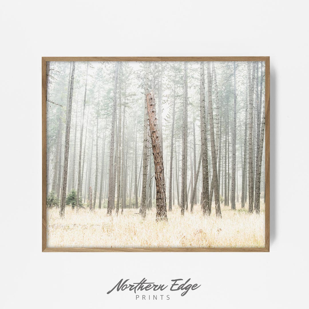 Fog Forest Print, Nature Print, Rustic Tree Art, Natural Art, Wall ...