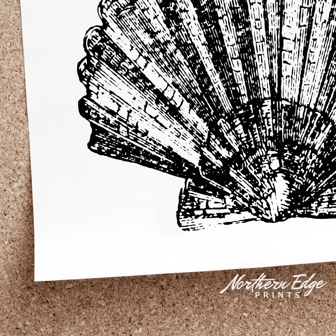 Fan Shell Poster Summer Decor Beach Art Sea Shore Ocean - Etsy