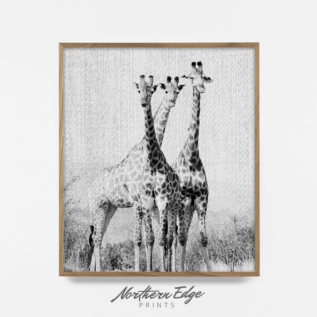 Safari Print, Printable Giraffe Art, Safari Decor, African Print ...