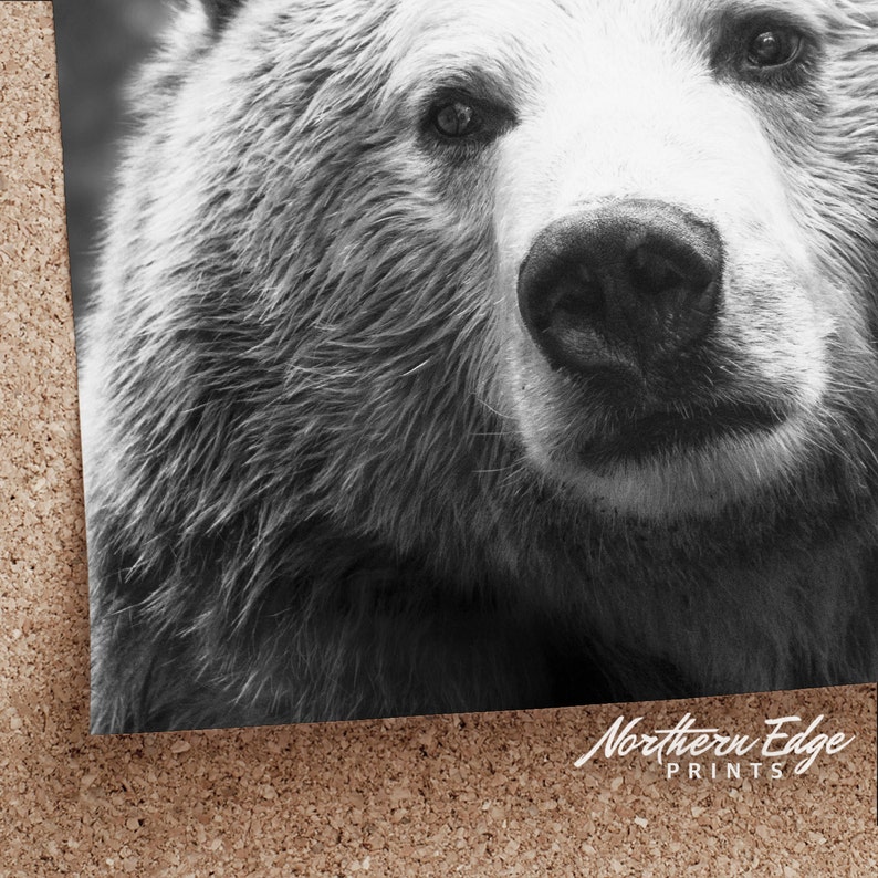 Grizzly Bear Printable Photography Wanderlust Art Bear | Etsy
