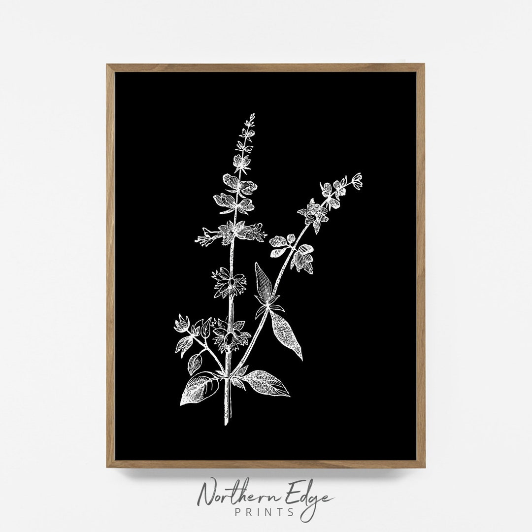Basil, Printable, Kitchen Herb Print, Kitchen Wall Art, Dill Art, Herb ...