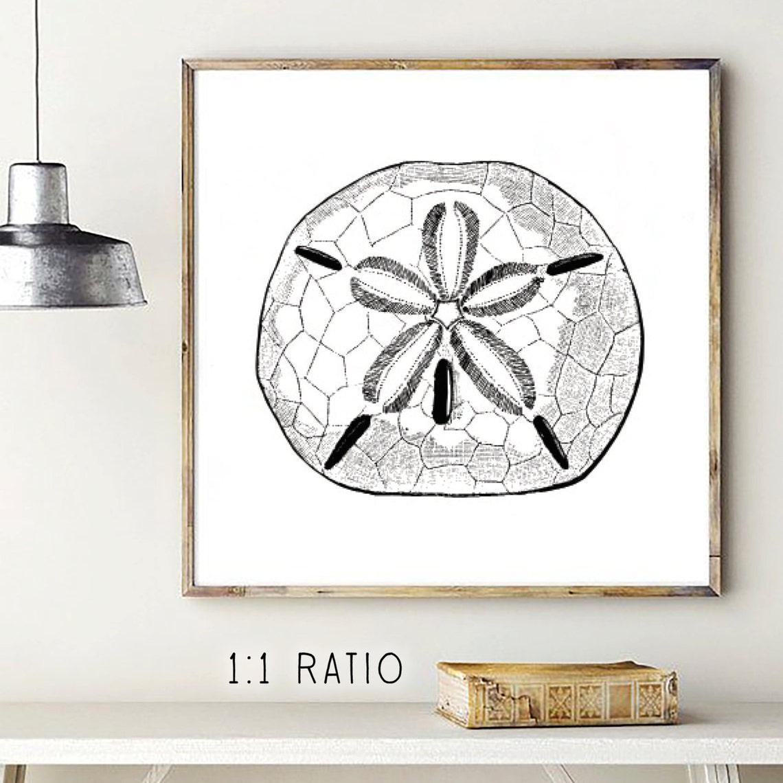 Sand Dollar Printable Print Tropical Beach Summer - Etsy